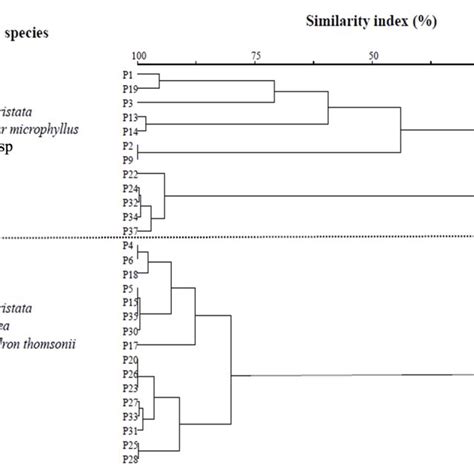 cluster dendrogram of shrubs showing similarity index arbitrarily