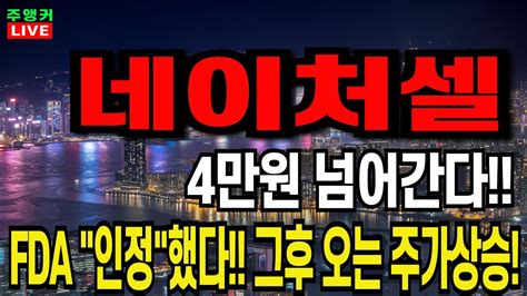 네이처셀 주가 전망 🔴속보🔴 4만원 돌파 Fda인정 이제는 상승의 시작이다 네이처셀 네이처셀주가 Fda