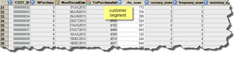 Customer Segmentation Using Rfm In Sas Enterprise Guide The Sas Dummy