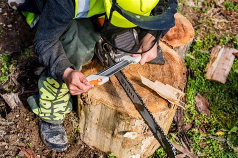 You Can Get A Head Start In Your Forestry Career With The Generation Programme