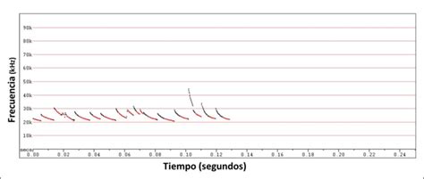 Espectrograma De Lasiurus Cinereus Grabación Hecha En San Marcos De