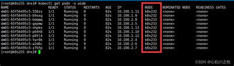 20 k8s中pod的调度 nodeselector节点选择器 k8 node slector csdn博客
