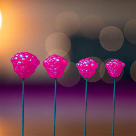 Steelhead Egg Clusters Hyper Blue Soft Okie Drifter Gooey Bob Og Clusters Elevated Tackle