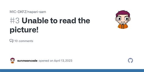 Unable To Read The Picture Issue Mic Dkfz Napari Sam Github