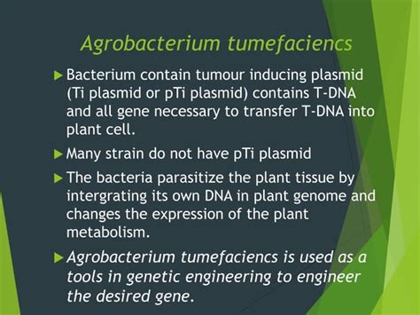 Agrobacterium Mediated Gene Transfer Pptx Biotech And Biomedical