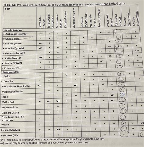 Solved Please Help Need Dichotomous Tree In Flowchart