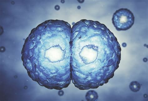 Are Cell Mutations Always Bad How It Works Magazine