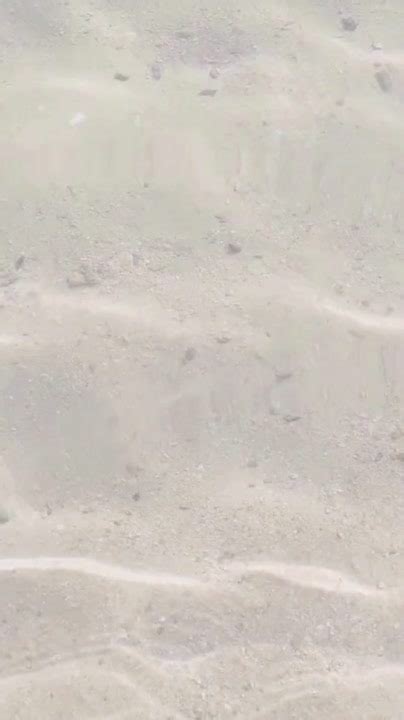 Matrrix Icf Actp Coach Training School On Linkedin Clarity Selfdiscovery Innerpeace