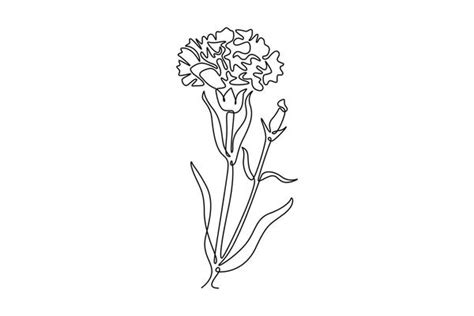 Carnation Line Drawing Vector Art Icons And Graphics For Free Download
