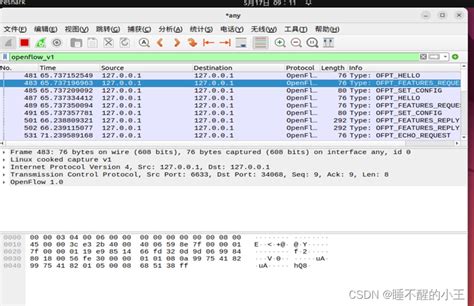 实验三：openflow协议分析实践 csdn博客