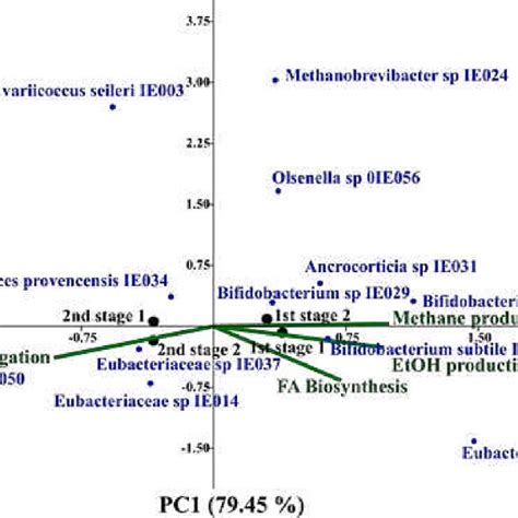 principal components pc analysis of protein encoding genes identified