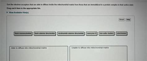 [answered] Sort The Electron Acceptors That Are Able To Diffuse Inside Kunduz