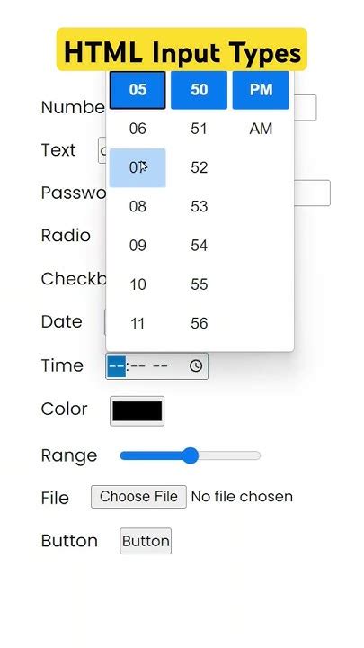 Html Input Types Css Inputs Learnhtml5andcss3 Webdesign Webdevelopment Shorts Viral