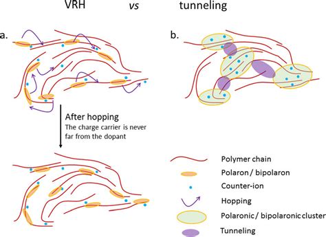 schematic representation of a the variable range hopping model vs b