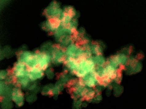 Hetero Aggregation Of Colloidal Silica And Carbon Black In Flames