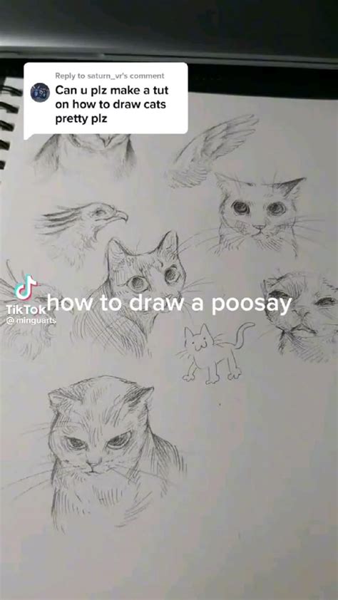 How To Draw Cats Sketches Cat Drawing Tutorial Drawings