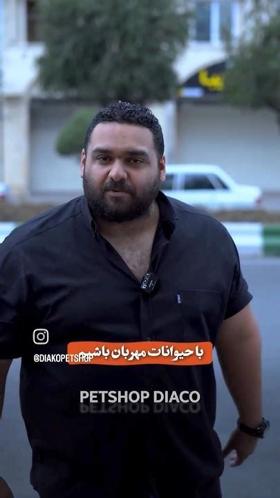 باحیوانات مهربان باشیم حیوانات هم مثل ما حق زندگی دارند🦮🐾 سگهای بی سرپرست حمایت از حیوانات