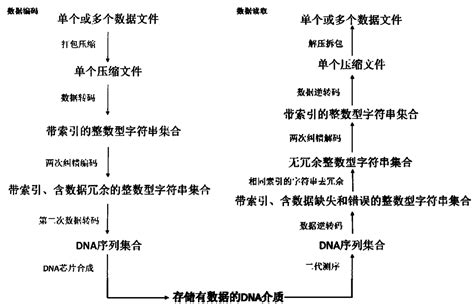 dna data storage coding and decoding method eureka patsnap