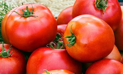 Hybrid Tomatoes Varieties California SummerWinds