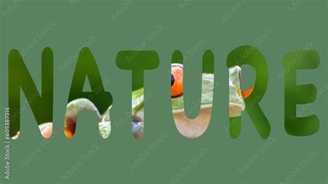 Text Cut Out Overlay Stock Template Adobe Stock