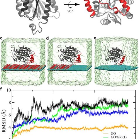 Molecular Dynamics Simulation Results A B Side And Top Views Of The