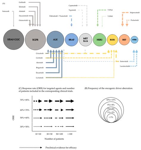 Molecular Oncogenic Driver Aberrations And Targeted Therapies Graphic