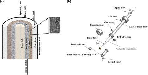 Schematics Of The Membrane Reactor A Cross Section Of The Reactor With
