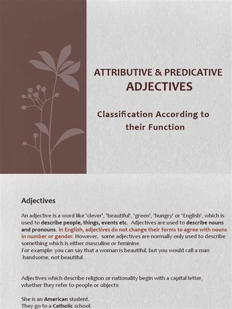 Attributive Predicative Adjectives Pdf Adjective Noun
