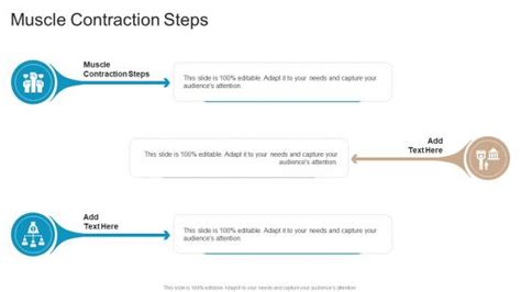 Muscle Contraction Steps Powerpoint Templates Slides And Graphics