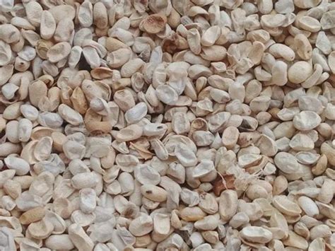 Silkworm Empty Cocoons Packaging Type Loose At ₹ 680kg In Coimbatore