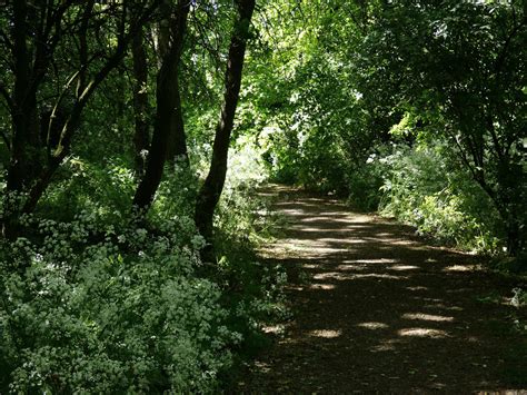 Lhistoire Des Jardins Forêts Un Système De Culture Millénaire