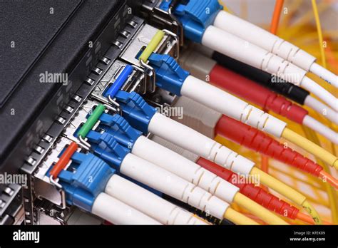 Patch Cables For Data Center At Mildred Fulcher Blog