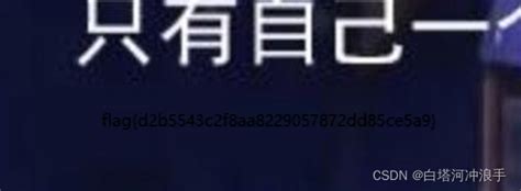 bmzctf 真正的ctfer csdn博客