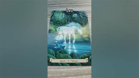 leo ~ one card oracle reading leo oraclereading oraclecards youtube