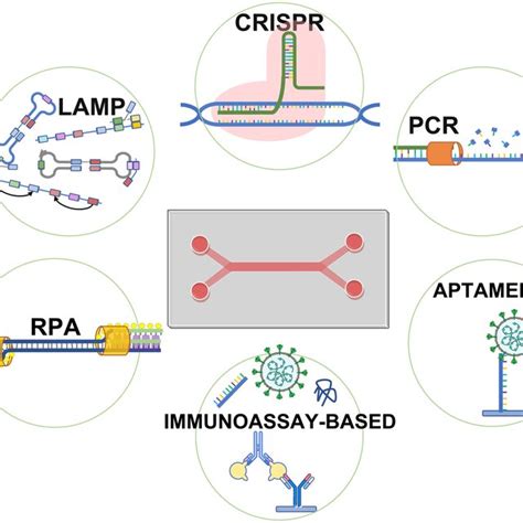 Microfluidics As An Enabling Technology For Drug Development And
