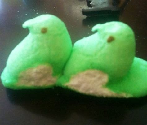 Peep Sex Sfw R Funny