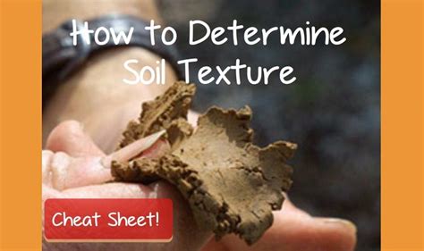 How To Determine Soil Texture Cheat Sheet Positively Sustainable
