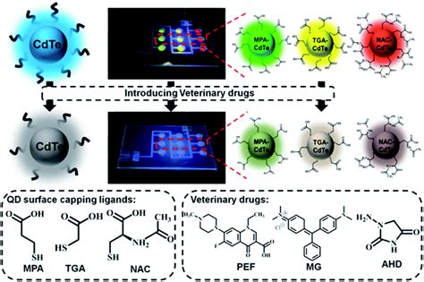 Microfluidic Fluorescent Platform For Rapid And Visual Detection Of Veterinary Drugs Rsc