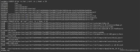 linux磁盘内存满了 清理内存 删除文件 清除垃圾 df linux垃圾文件 英文版 linux系统垃圾 删除特定文件 checking
