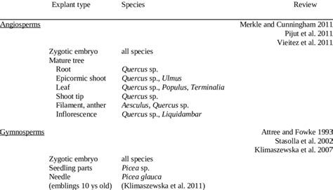 Explant Used To Induce Somatic Embryogenesis In Angiosperm And Download Table