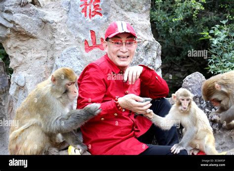 Chinese Actor Liu Xiao Ling Tong Visits A Macaque Reserve In Jiyuan City Central Chinas Henan