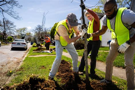 Community Tree Planting Takes Place Where The Green Is Golden
