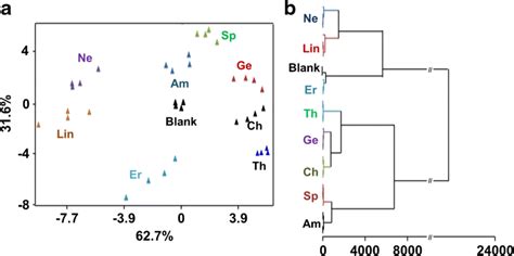 a pca plot and b hca analysis for the discrimination of antibiotics