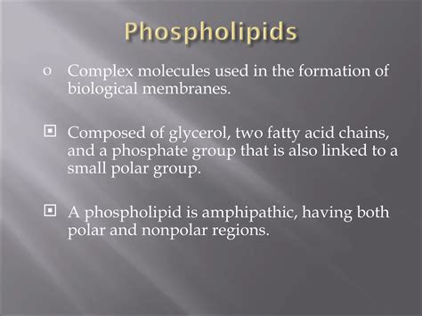 Lipids Sources And Their Functional Structureppt Chemistry Science