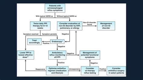 Four Es For Extraesophageal Gerd Aga Scope Forward