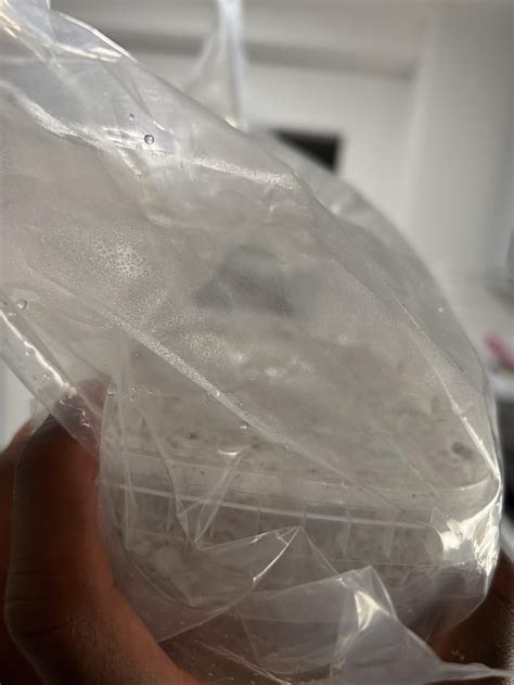 Yellowish Brown Mycelium Rcontamfam