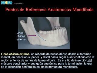 02 Anatomia Pdf