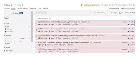 mule application code review using sonarqube ntt data