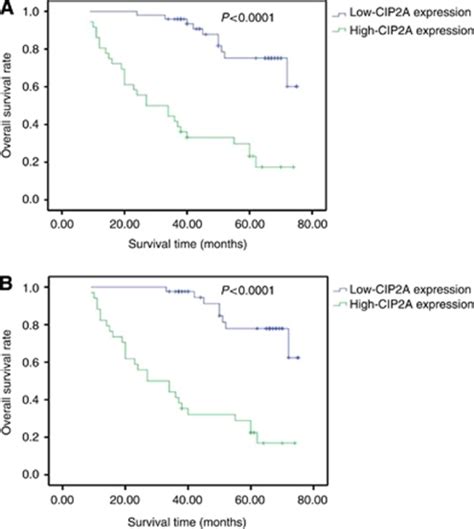 Kaplanmeier Curves Of Os According To Cip2a Expression Patients With