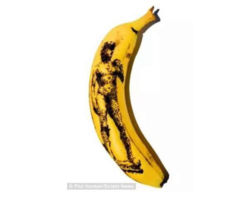 Fuck My Ass Whole Bloomingprity Twitter